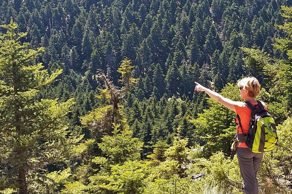 8-day Self-guided Holiday in The Menalon Trail I S-Cape Travel